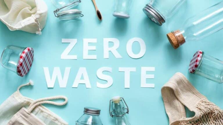 The Threat of Plastic Pollution and What We Can Do About It