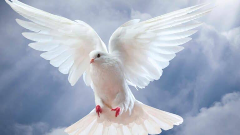 The Intriguing Stories Behind Greek God Symbols and Names