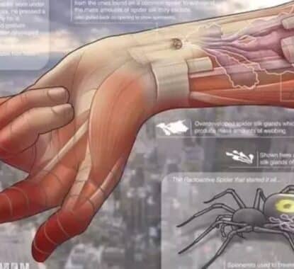 10 Surprising Facts About Spider-Man's Web - GoBookMart