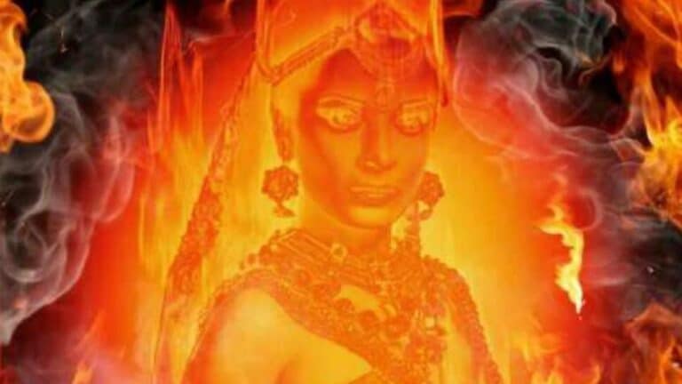 Draupadi | The Panchali Princess | Role in Mahabharata
