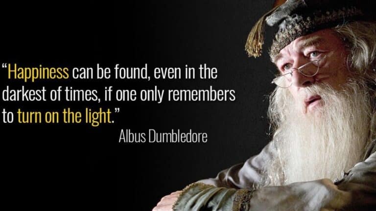 10 Harry Potter Quotes That Capture The Core Of Each Character - GoBookMart