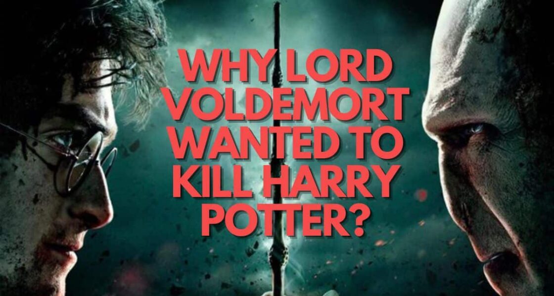 Why Lord Voldemort Wanted To Kill Harry Potter? - GoBookMart