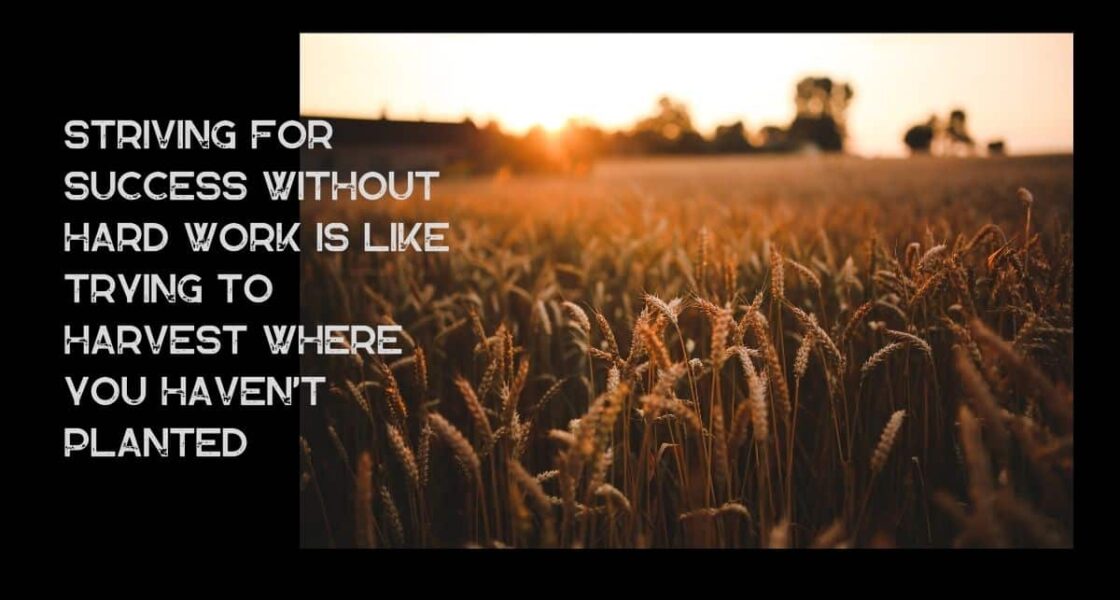 Striving for success without hard work is like trying to harvest where ...