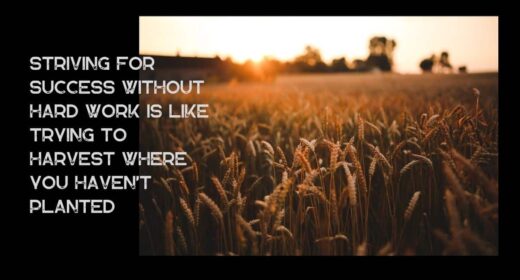 Striving for success without hard work is like trying to harvest where ...