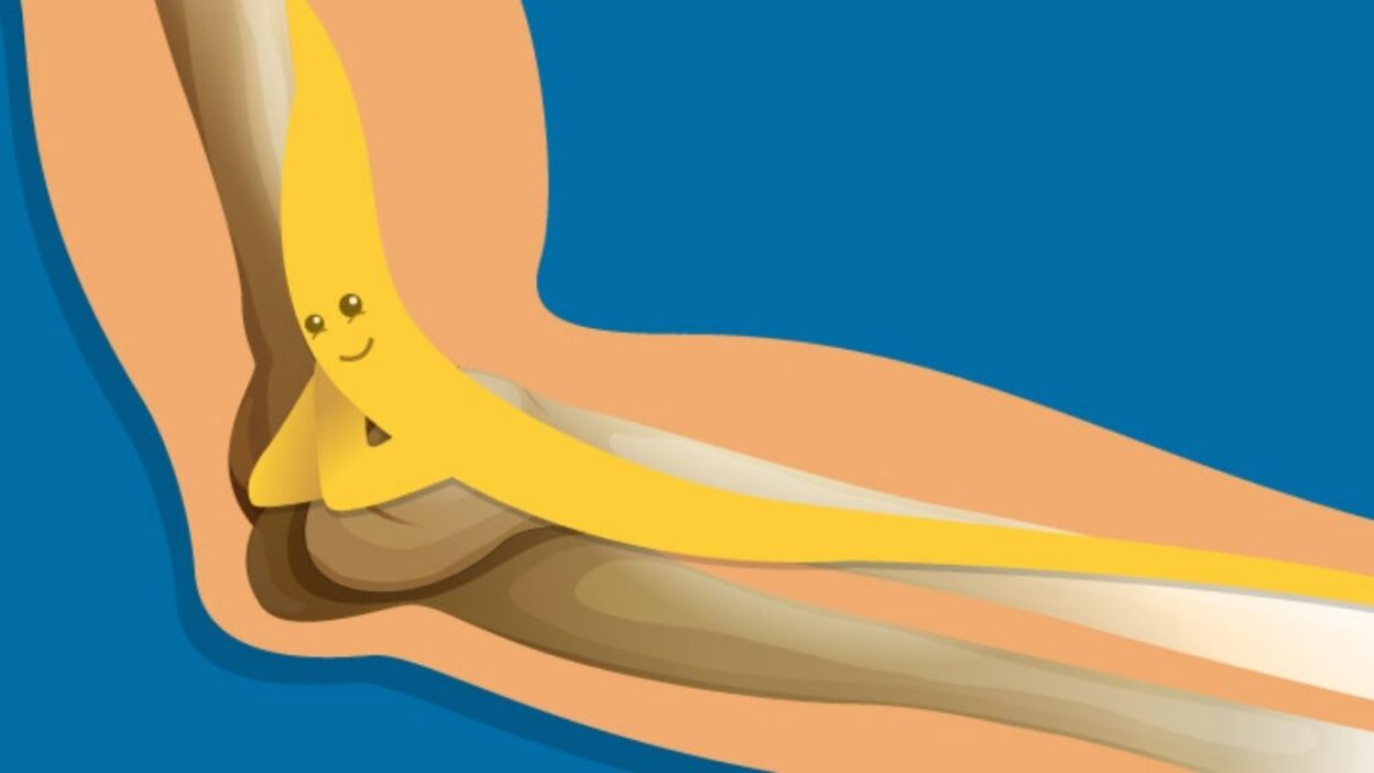 What Really Triggers the Funny Bone? - GoBookMart