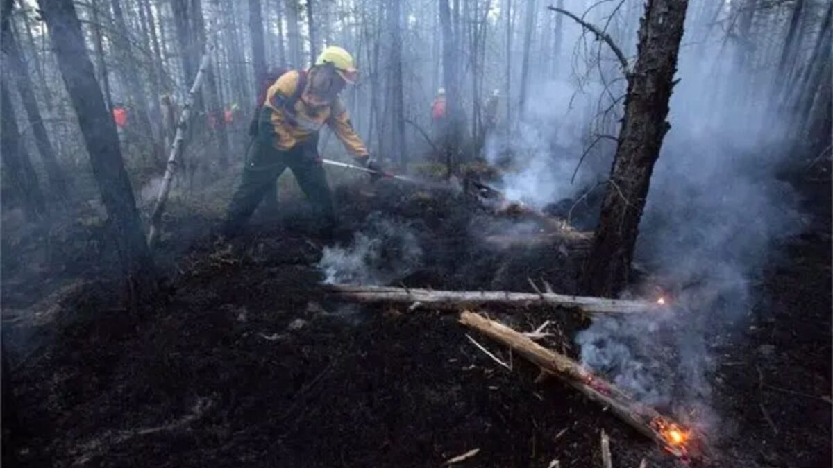 Zombie Fires Explained: The Underground Blazes That Refuse to Die ...